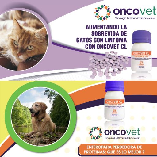 VET Comunicaciones | Noticias | OncoVet CL: para tratamientos de ...